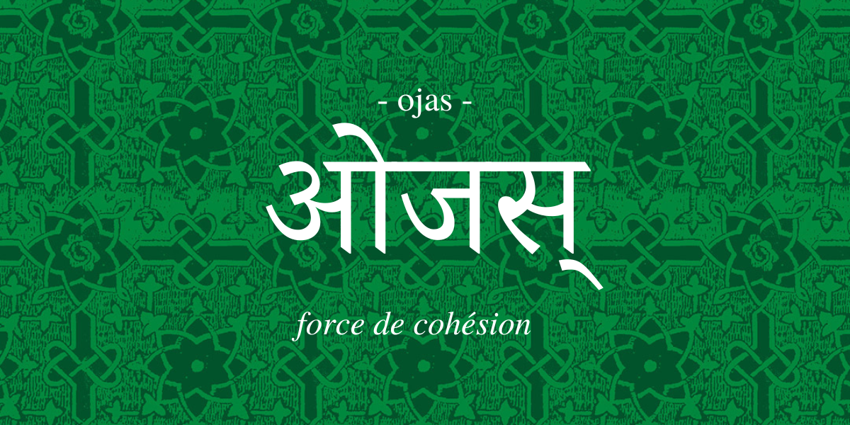Ojas - La force de cohésion - atma.bio