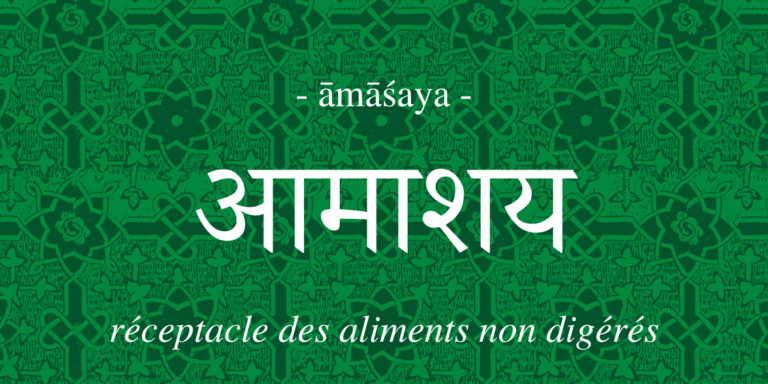 L'anatomie ayurvédique : Āmāśaya - atma.bio